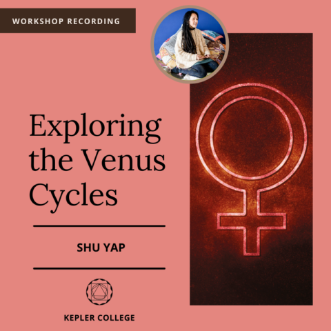 Exploring the Venus Cycles (Recording) - Kepler College Store